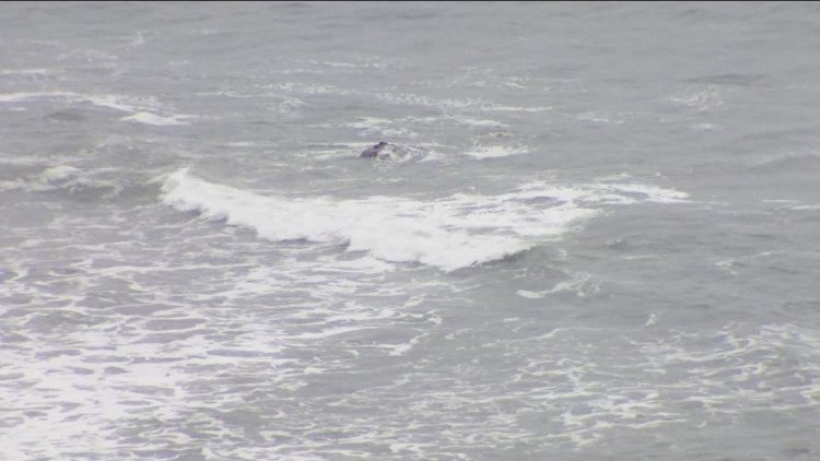Coast Guard searching for downed plane, 6 people off Point Loma coast