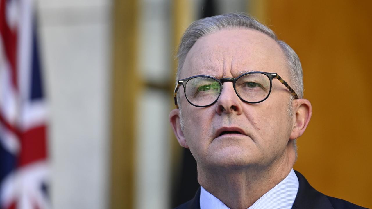 Albo urged to go hard on Trump