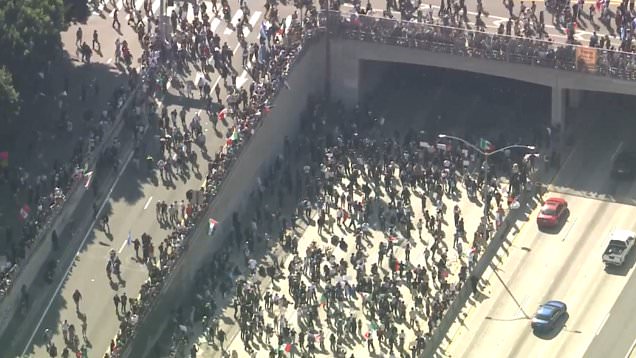 Anti-ICE protesters block LA freeway as police try to quell chaos