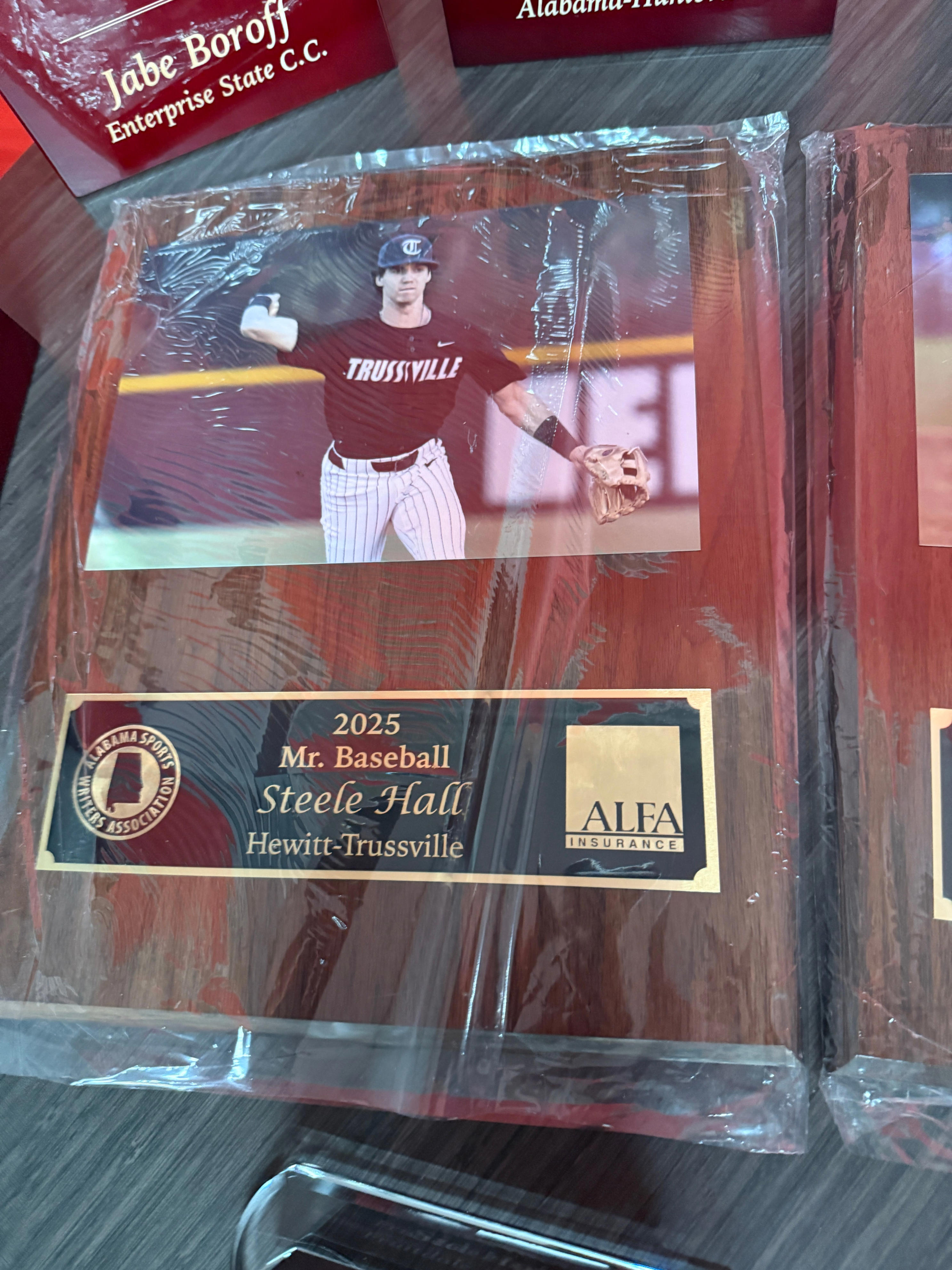 AHSAA Baseball: Hewitt-Trussville's Steele Hall wins ASWA 2025 Mr ...