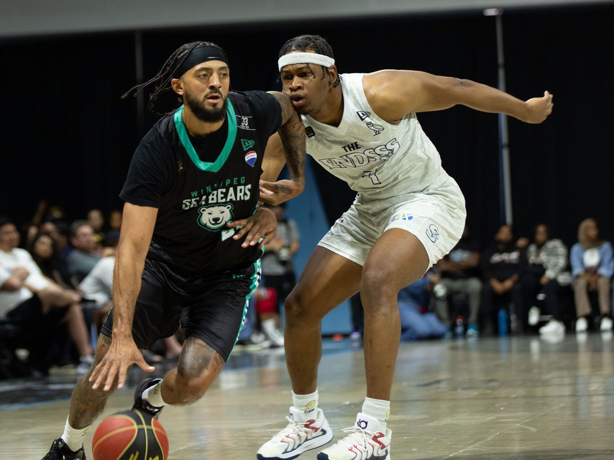 Sea Bears release first negotiation rights list for 2026 season