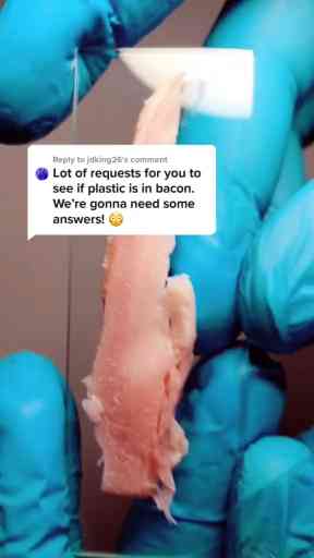 Exploring Butterfly Scales Under a Microscope