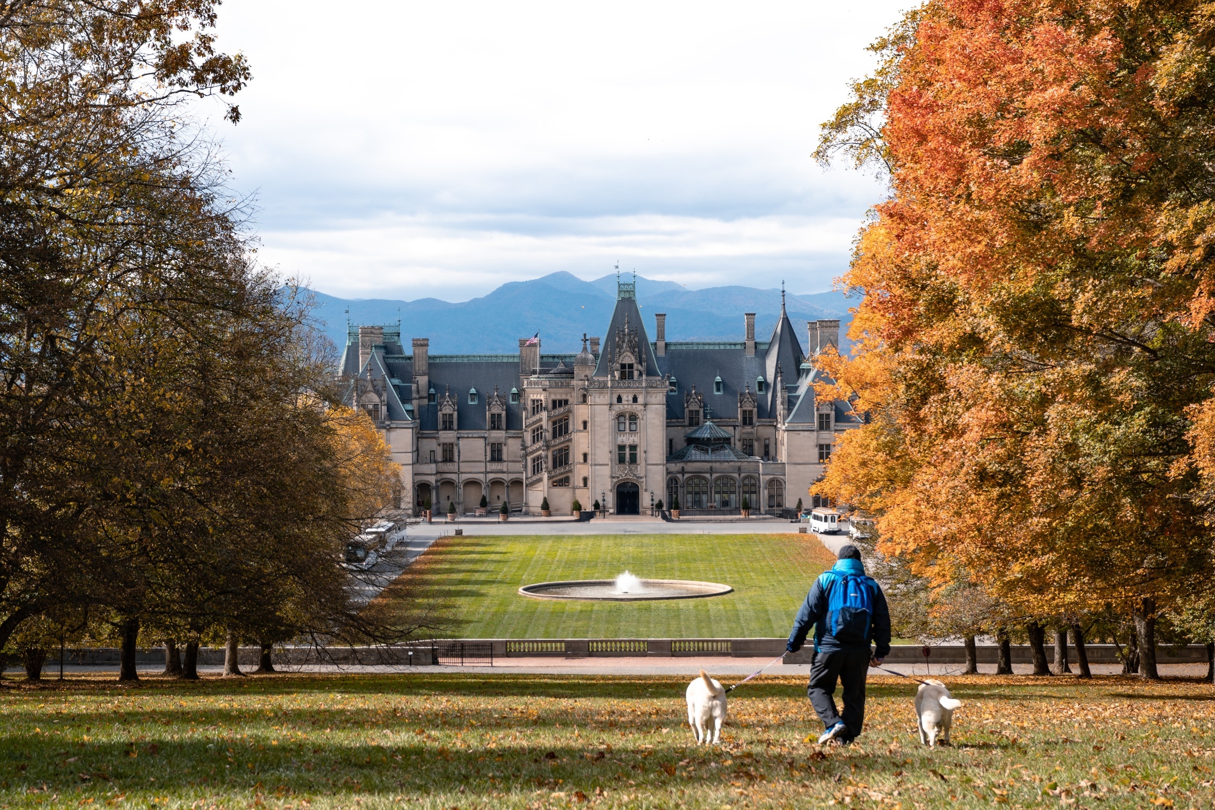 21 great dog-friendly US vacation destinations
