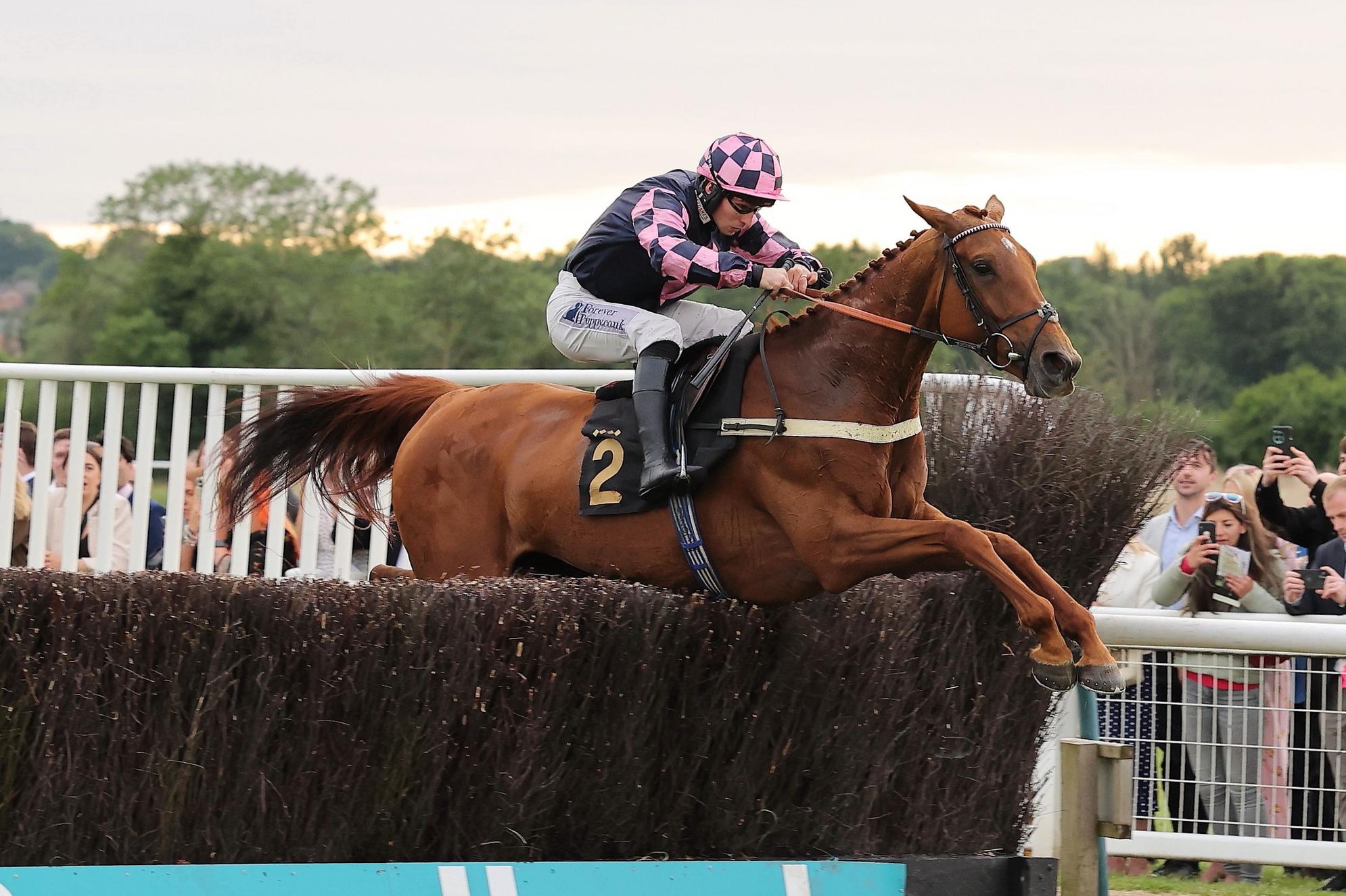 Harrys Hope impresses as Warwick heads to its summer break