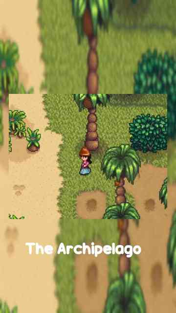 Archipelago Randomizer Mod – Perfection Run Chaos