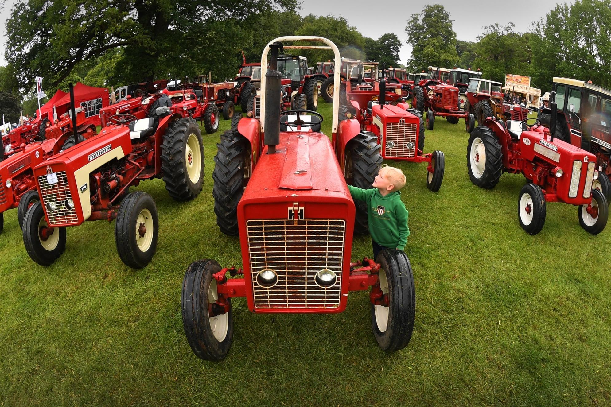 Tractor Fest at Newby Hall: Best pictures as grand old tractors star at ...