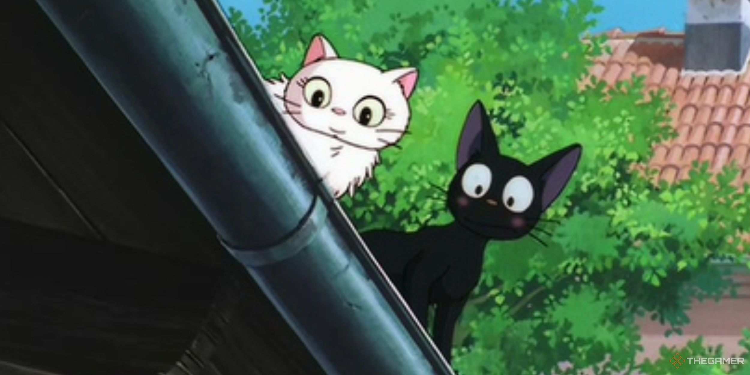 Even Casual Anime Fans Will Recognise These Iconic Anime Pets