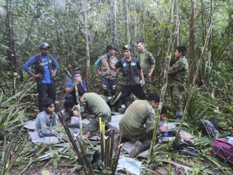 How four children under 13 survived plane crash deep in Amazon rainforest