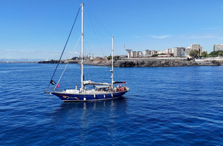 Greta Thunberg's 'Madleen' docks in Ashdod port, crew offered to watch ...