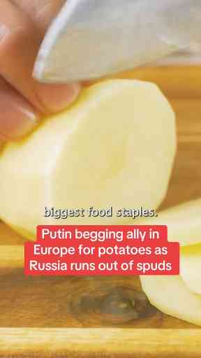 Putin Begging Ally in Europe for Potatoes as Russia Runs out of Spuds