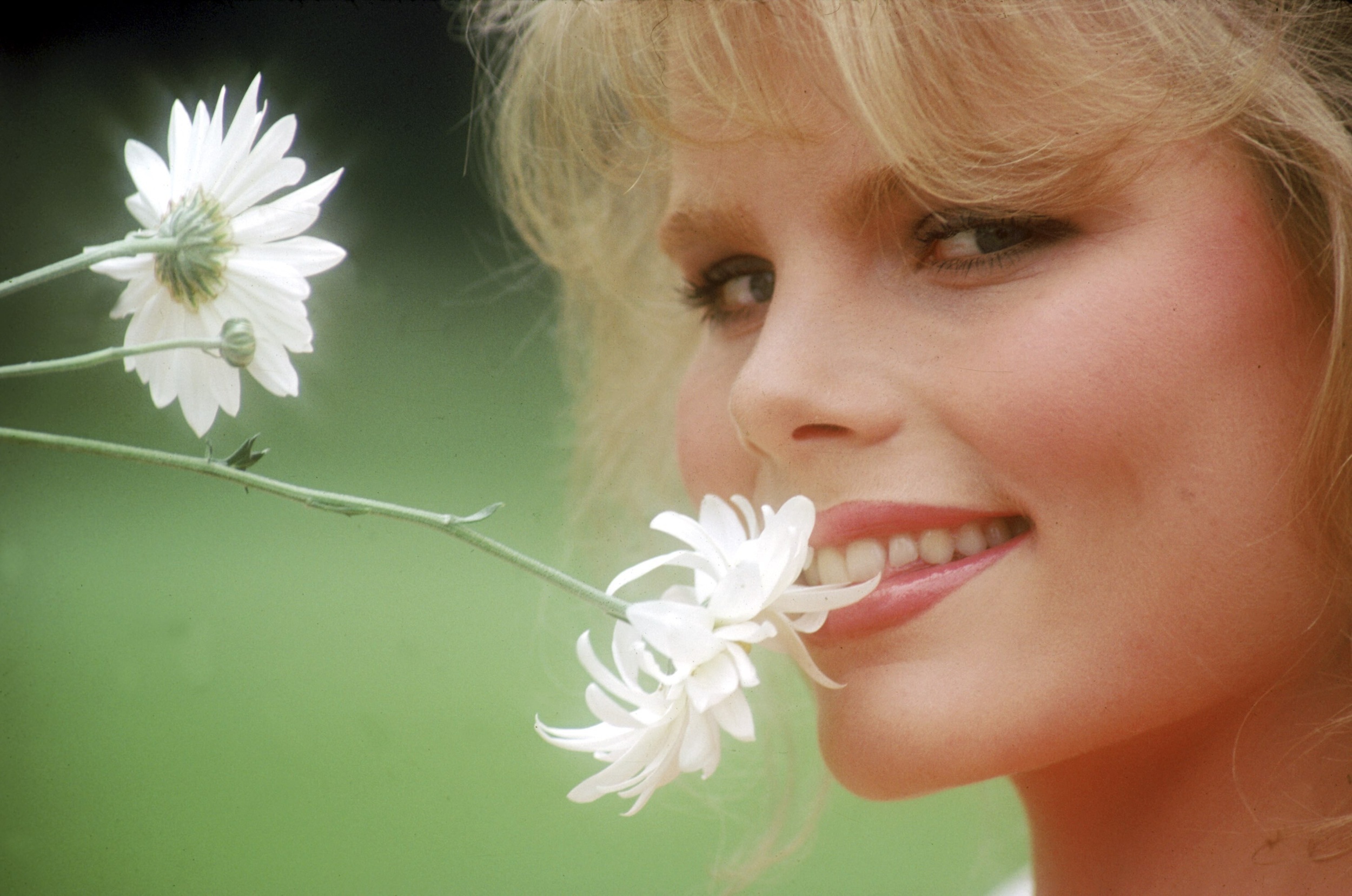 25 movies that leave viewers completely devastated