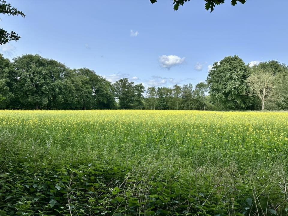 Weerman Samuel ziet zwoele tropische temperaturen later deze week
