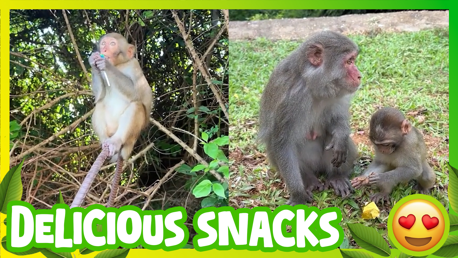 Aap Geniet van een Heerlijke Snack 🐵🍓 | Schattige & Smaakvolle Eetmomenten