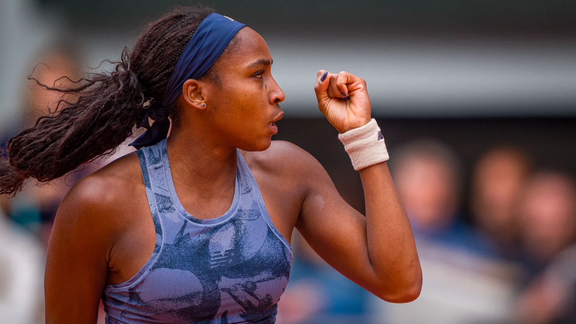 Rip Haywire by Dan Thompson