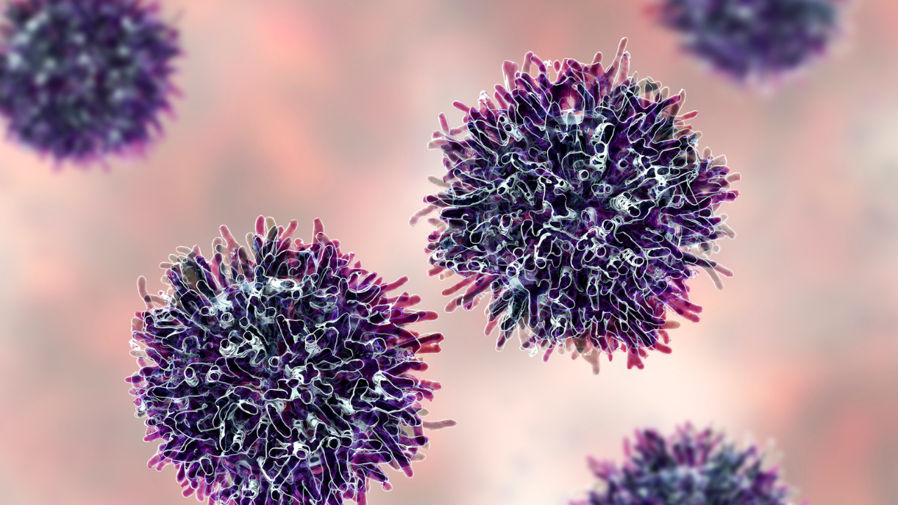 Harvard doctor lists 6 worst foods that can cause cancer