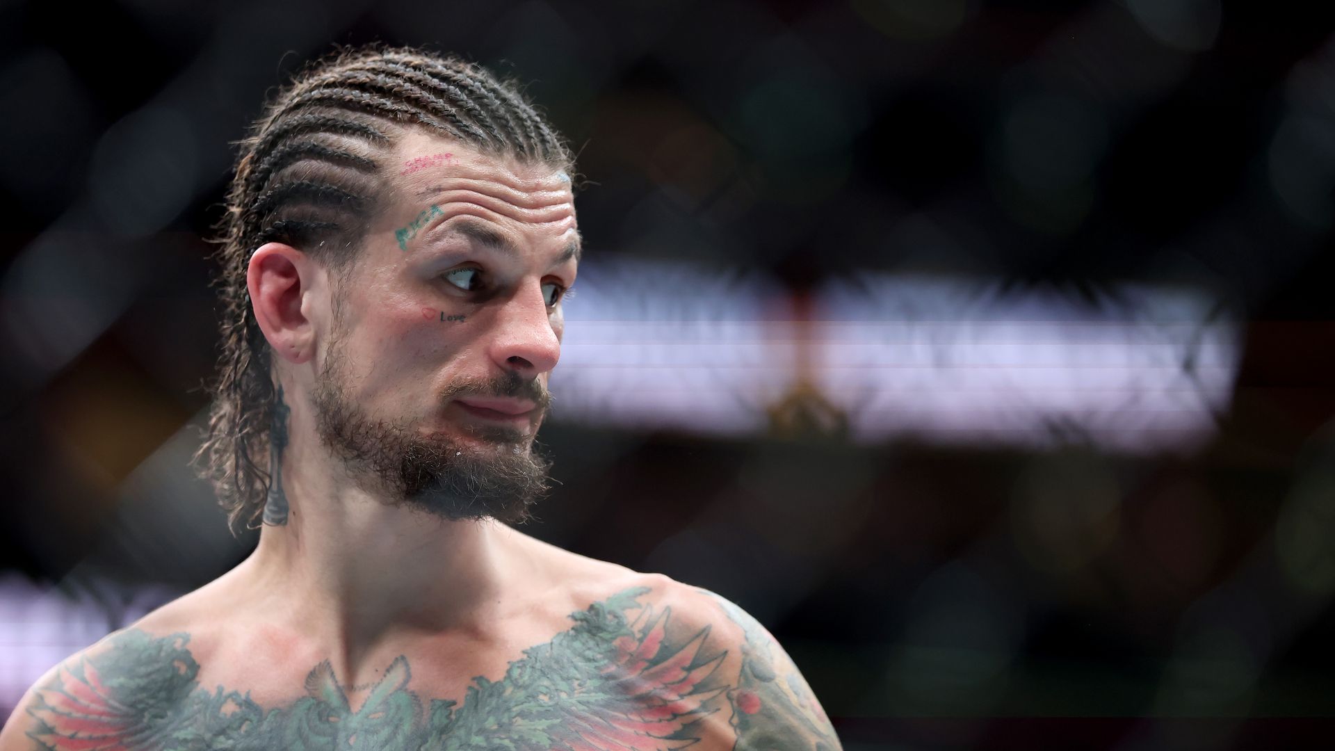 What’s Next For Sean O’ Malley?