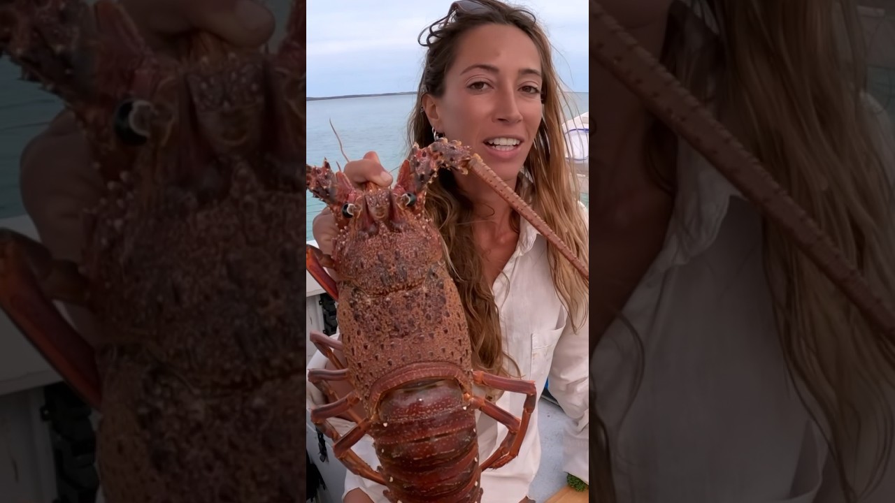 Easy 5-Star Popcorn Lobster Recipe