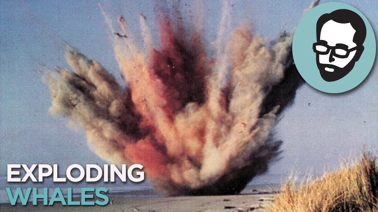 When Whales Explode
