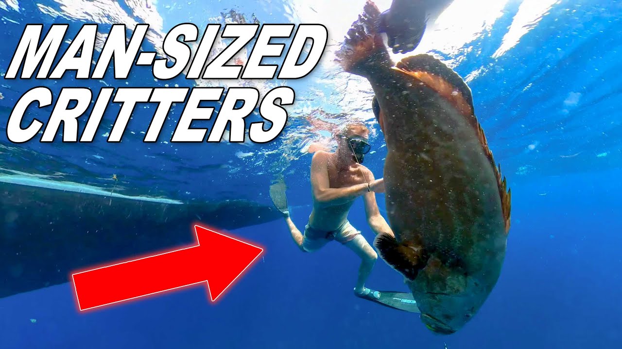 Camera on the Line Reveals Epic Fish Strike