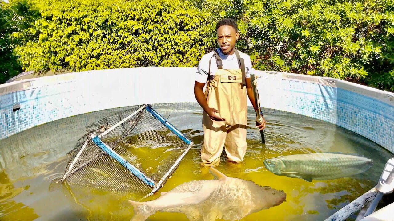 Returning two fish to their loving owner