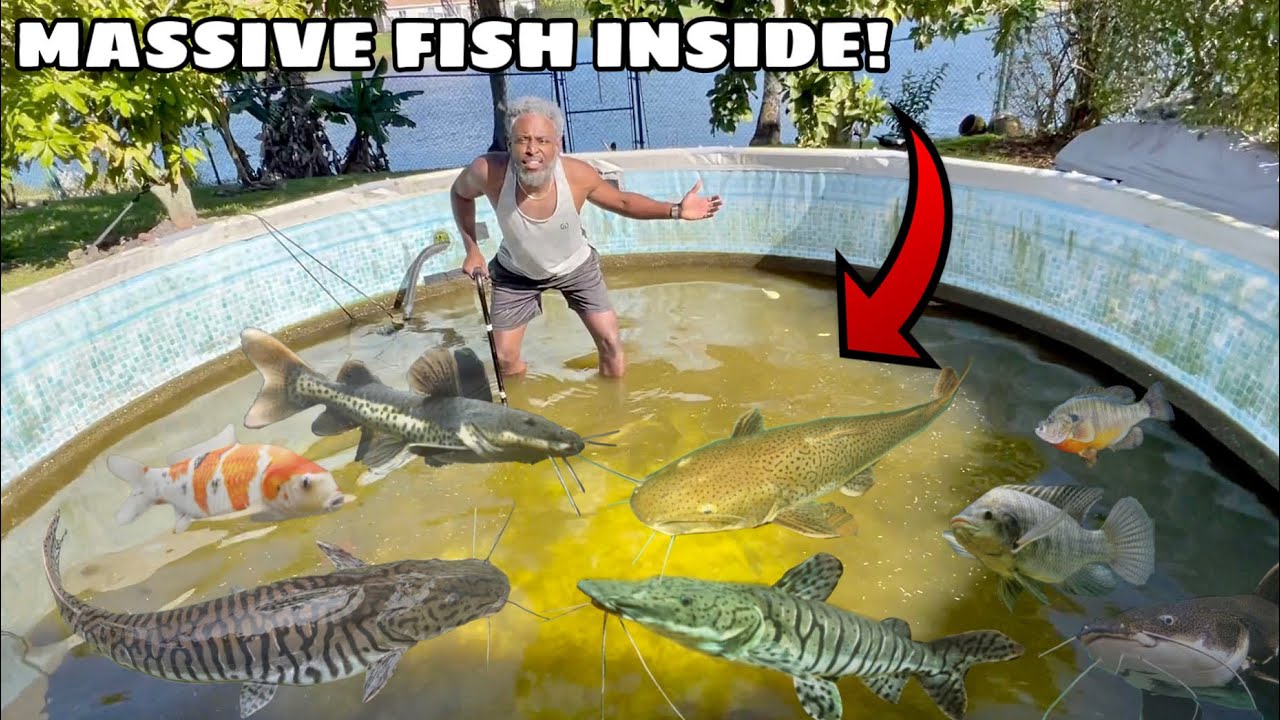 MONSTER Fish Found in Abandoned Pond! – Part 1