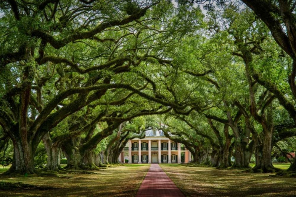 19 Louisiana Bayou Towns on Ancient Waterways
