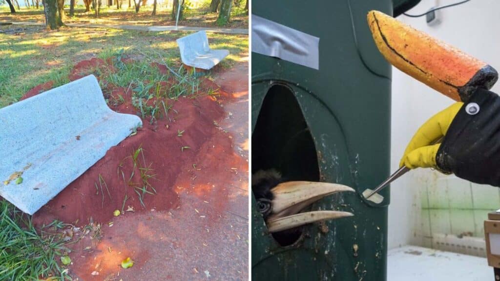 38 Interesting Photos That Require Some Context