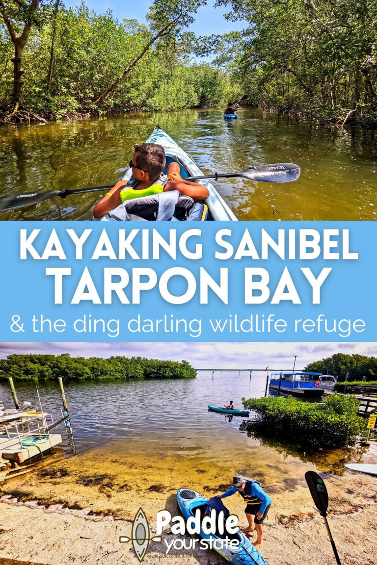 Guided Kayaking on Tarpon Bay at Sanibel Island, Florida