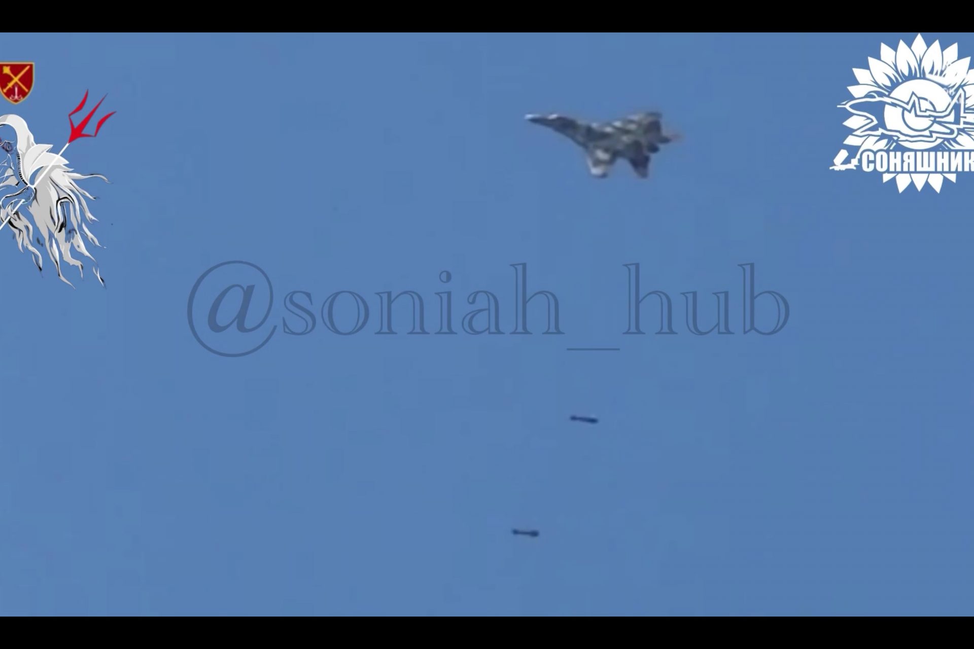 Protester with Mexican flag becomes symbol of Anti-ICE uprising