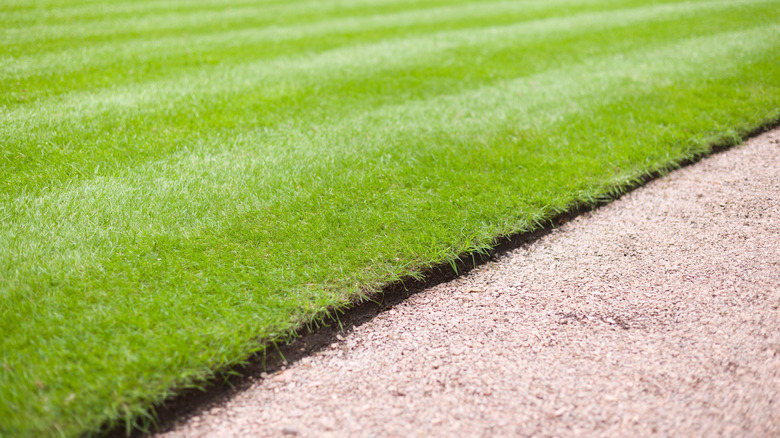 The Biggest Mistakes You're Making When Edging Your Lawn