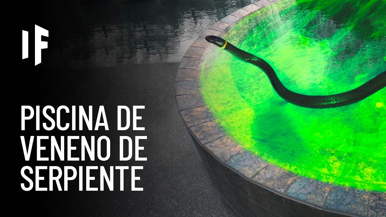 ¿Qué Pasaría Si Cayeras en Una Piscina Llena de Veneno de Serpiente?