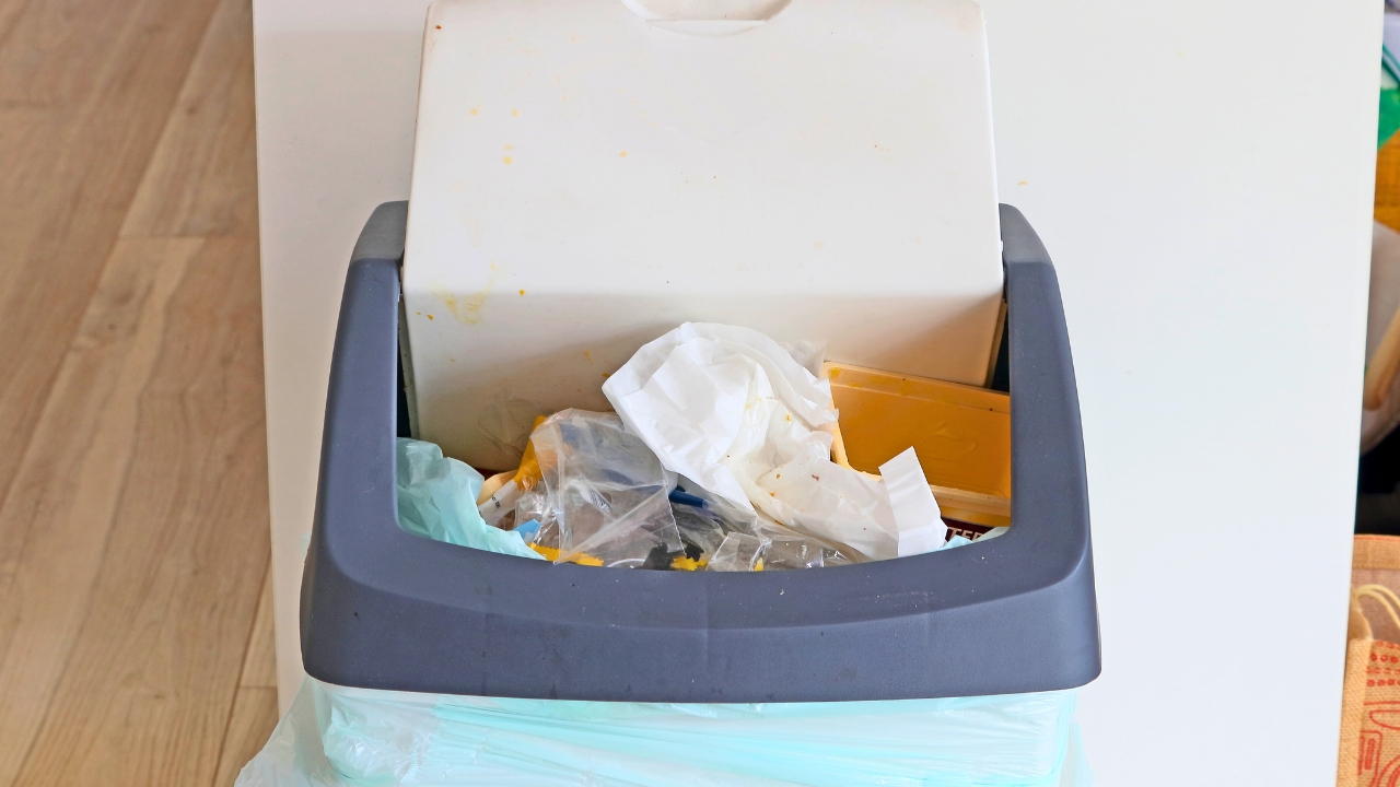 10 smells pest control pros say attract bugs