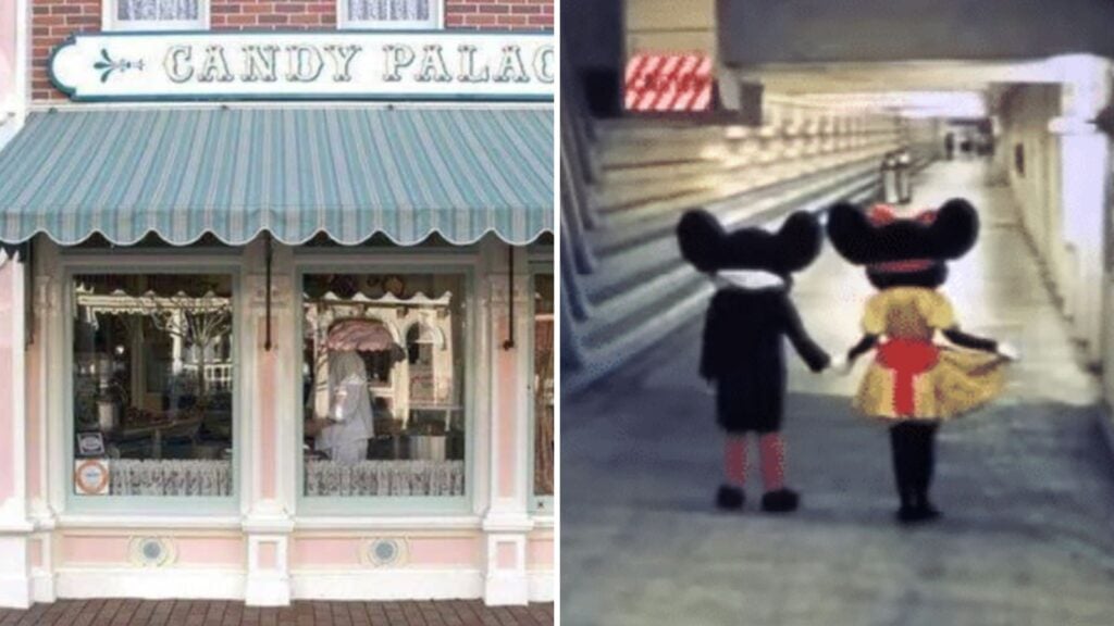 Walt Disney World Secrets Only Cast Members Know