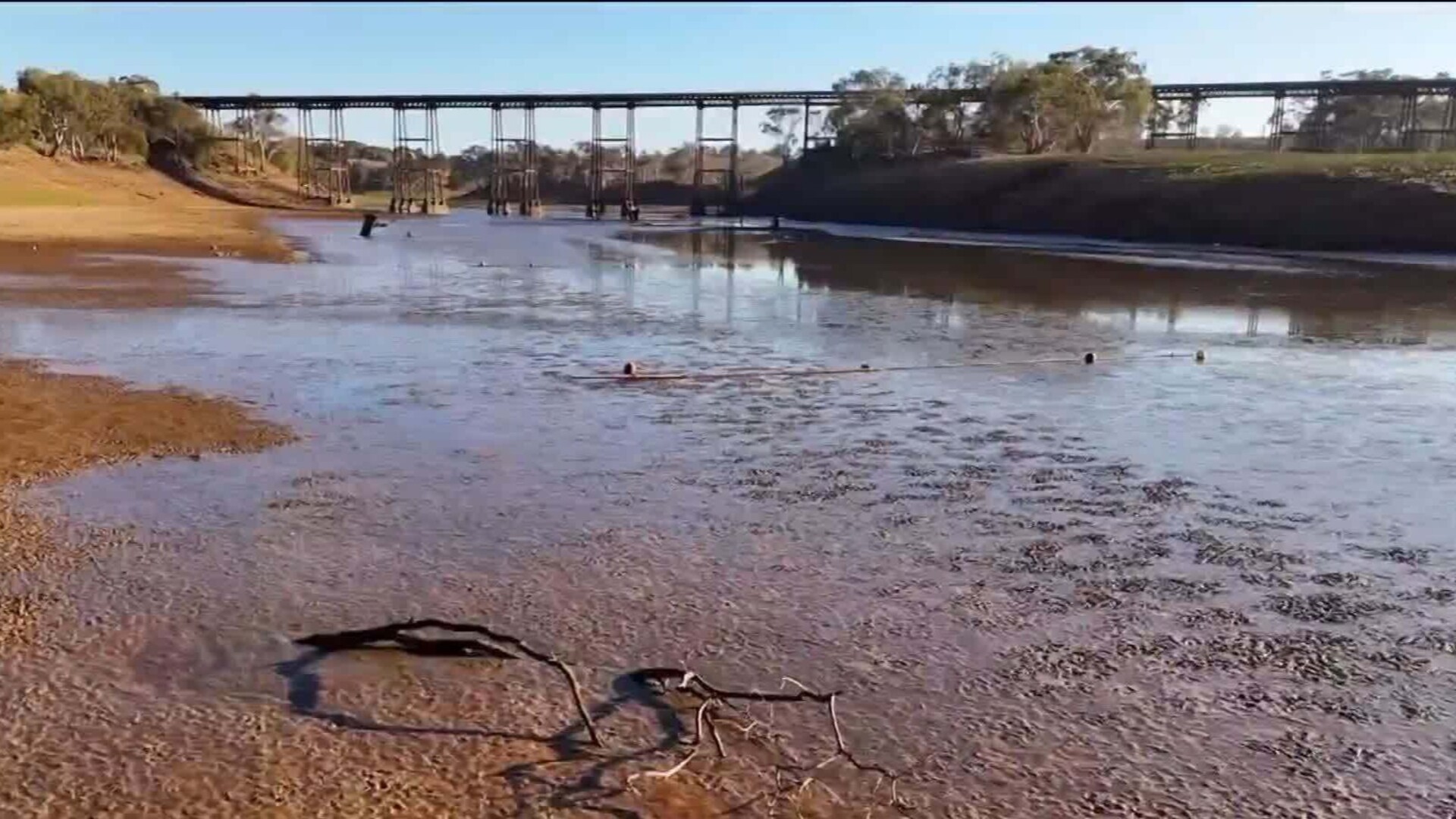 Rainfall brings ‘some’ relief to drought-stricken regions of SA and ...