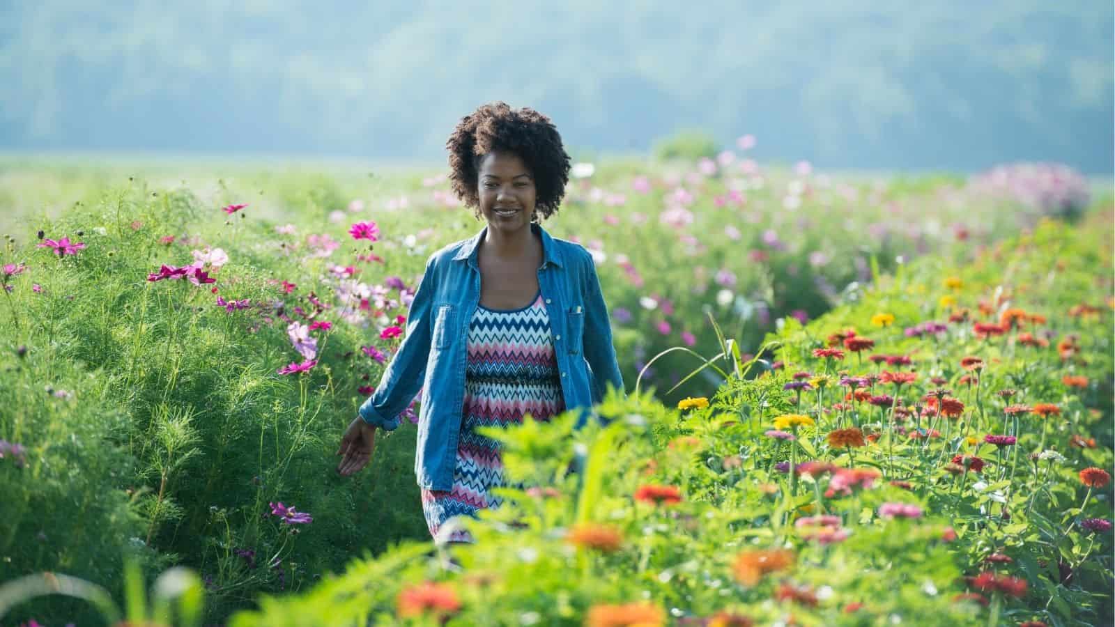 These 10 Native Wildflowers Attract Beauty and Biodiversity