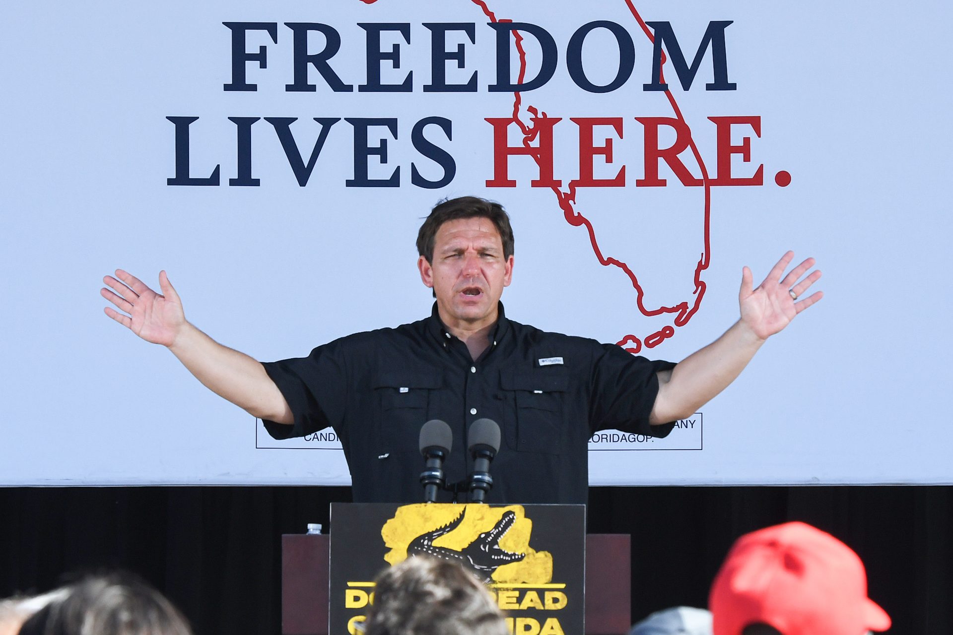 Ron DeSantis: from MAGA darling to cast aside 'Meatball Ron'