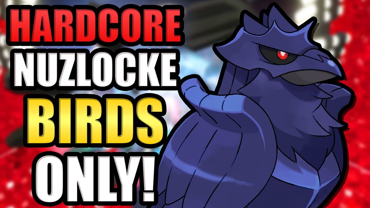 Pokémon But Only Birds: The Ultimate Aviary Team