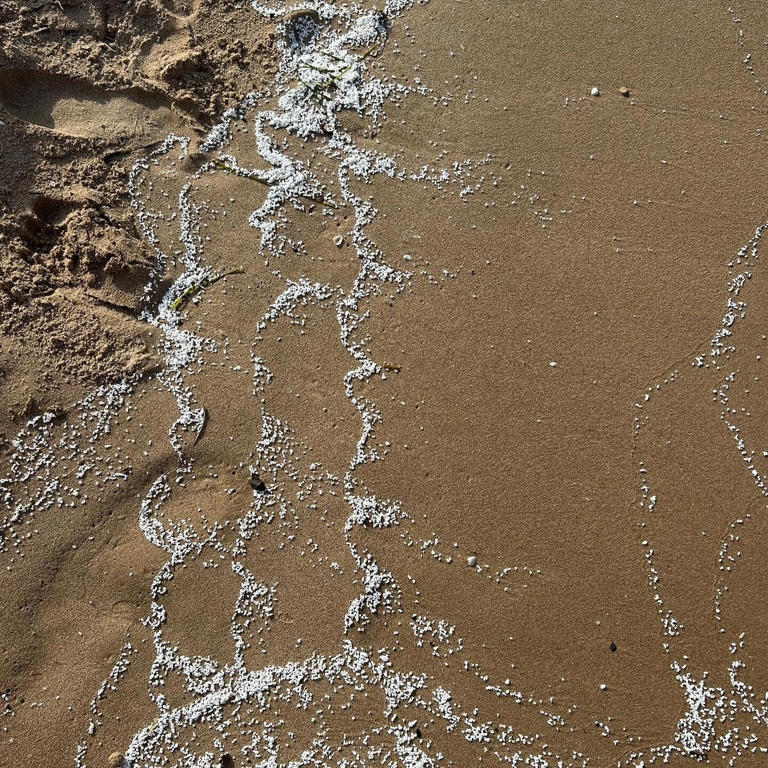 "Unknown material" prompts closure of beaches in Spain's Valencia region