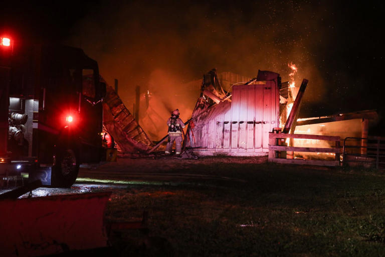 Il mistero di Villa Pamphili: la donna si faceva chiamare Stella, Rexal ...