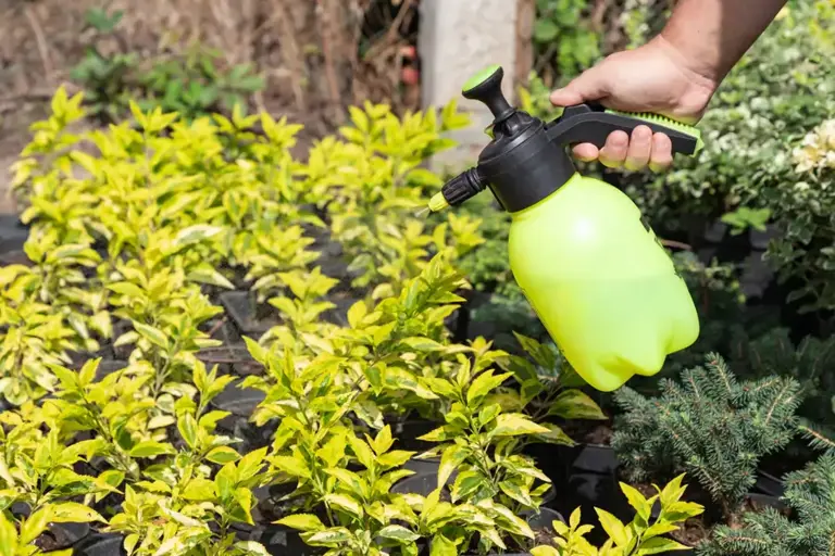 Cómo utilizar el bicarbonato contra las malas hierbas sin matar a otras ...