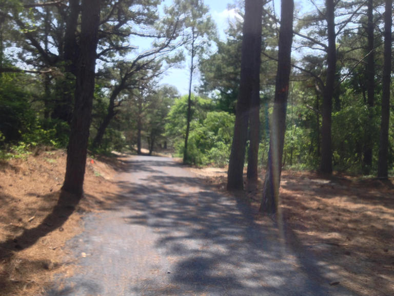 Yes, there are more ticks in Delaware this year. What to know, how to ...