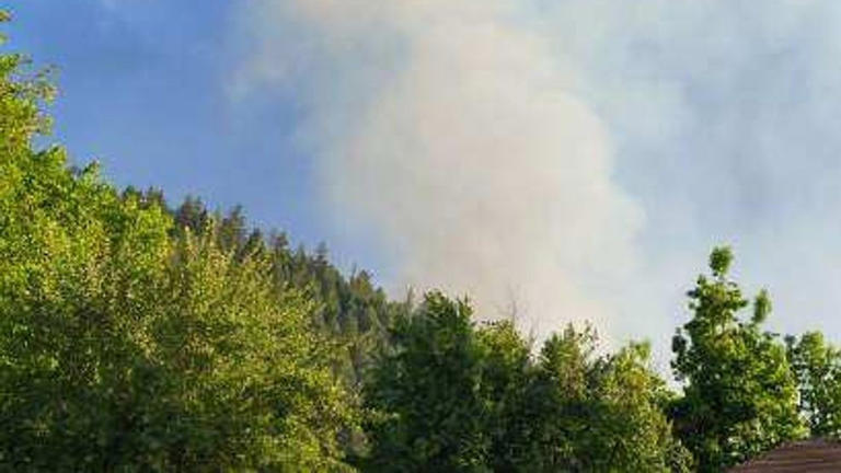 Containment raised on Reading Fire burning near Douglas City