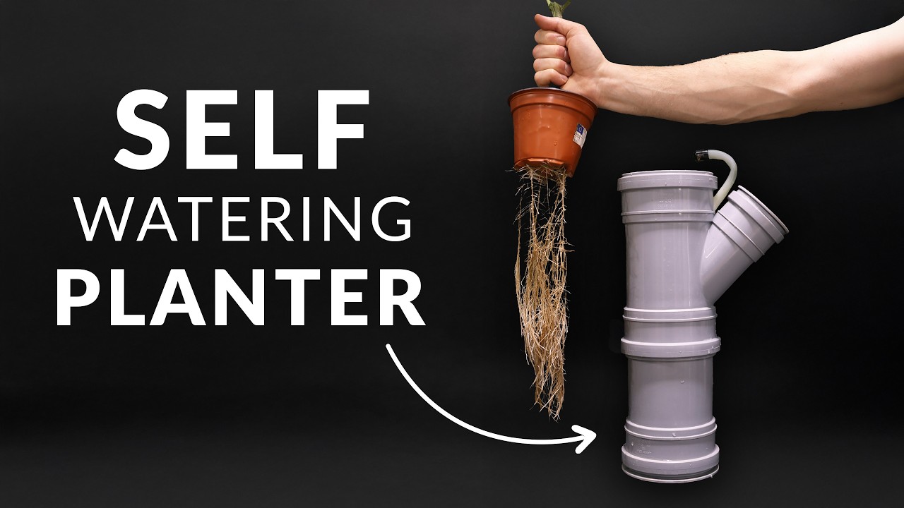 DIY self watering pot build - 64 day timelapse