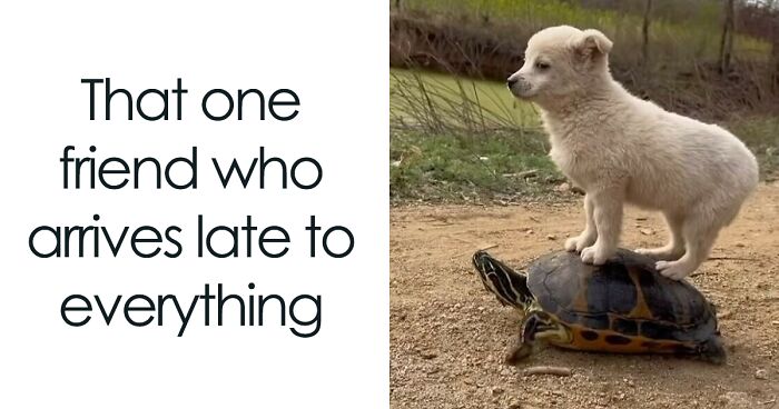 46 Hilariously Relatable Memes That You Might Want To Spam Your Friends ...