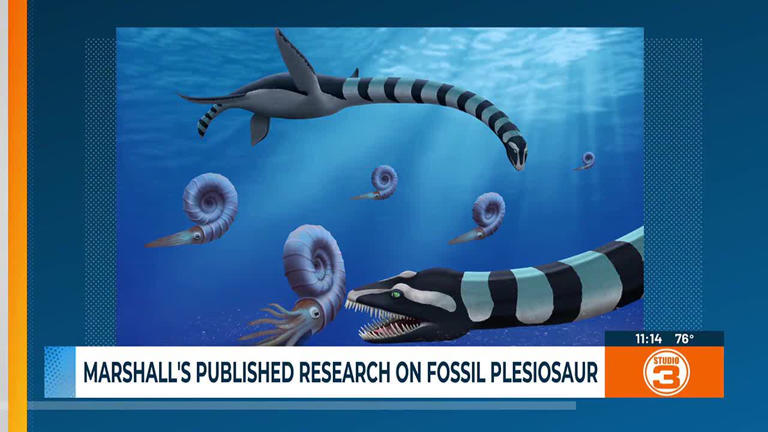 MU’s new published research on fossil plesiosaur Traskasaura sandrae