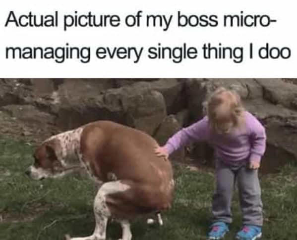 35 Funny Boss Memes You Won’t Have To Pretend To Laugh At Like You Do Your Boss’ Jokes