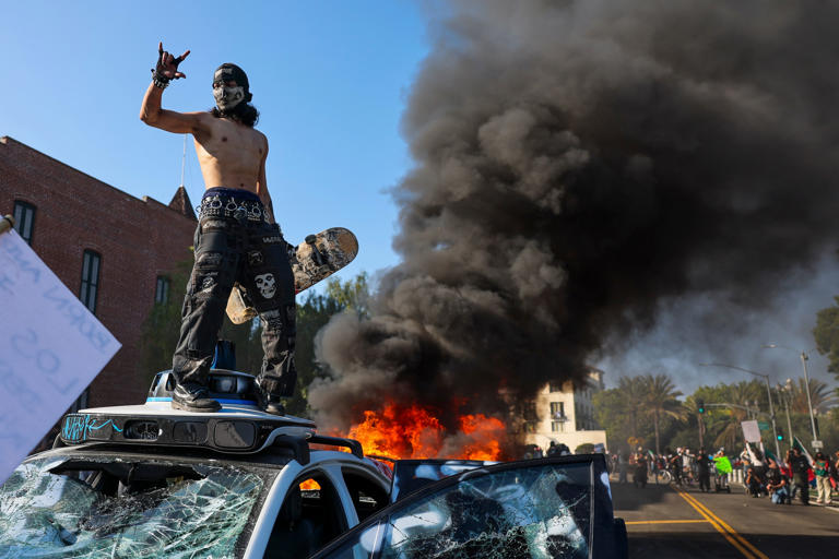 SEA LIFE Aquarium opens at LEGOLAND, showcasing marine life and ...