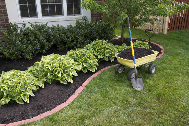 Do you really need to mulch your garden every year? Here's what experts say