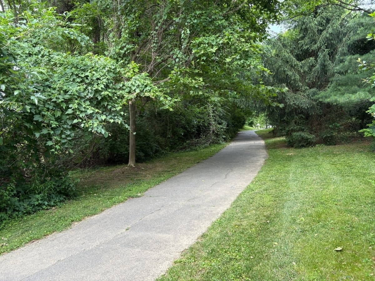 Decision On Controversial George Snyder Trail: What To Know