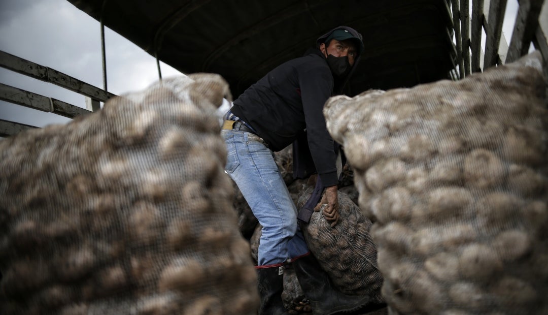 Para esta semana el bulto de papa pastusa aumentó $30.000 y llegó a ...